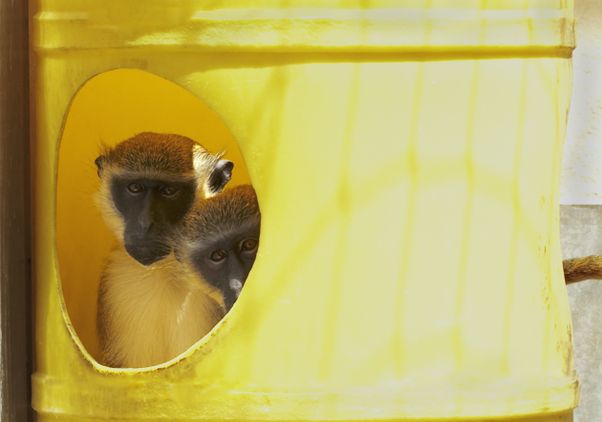 A Target of Violence | UCLA