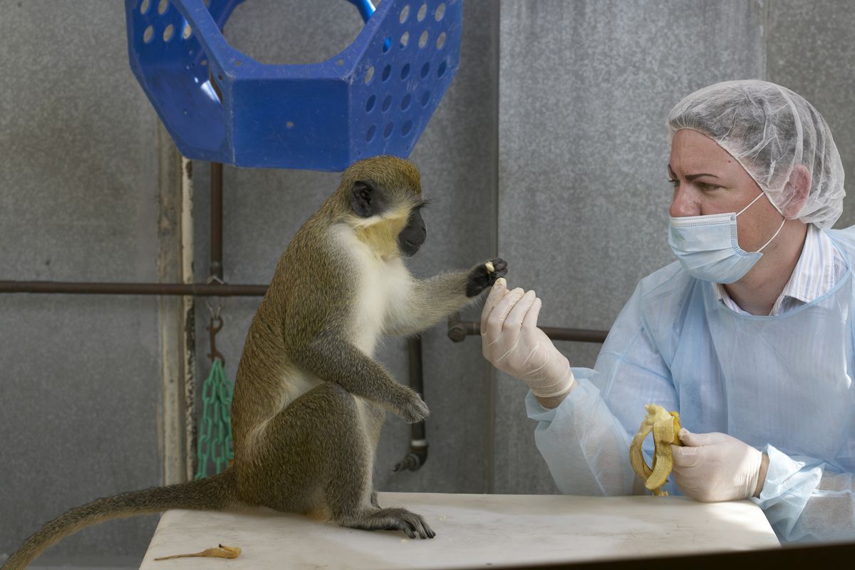 A Target of Violence | UCLA