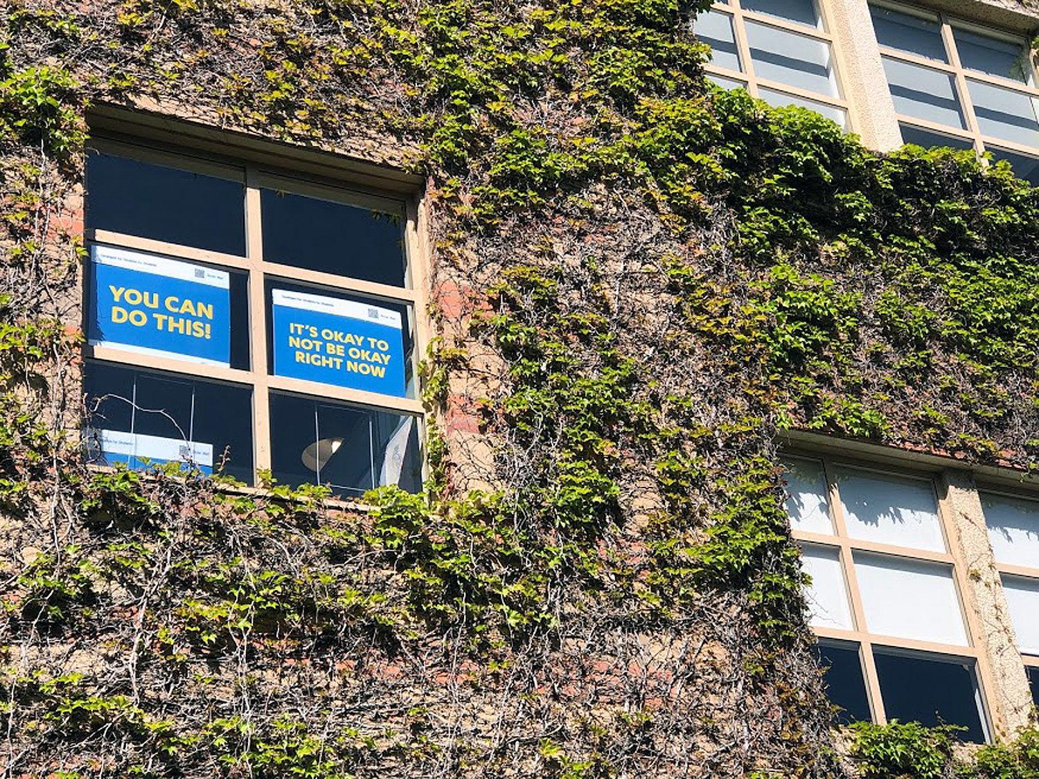 Rise up: Images of Bruin resiliency during COVID-19 | UCLA