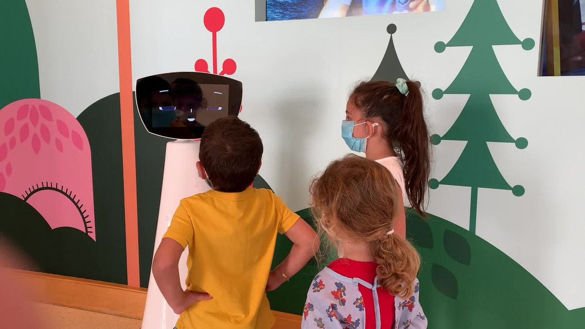 Welcome, Robin the AI robot | UCLA