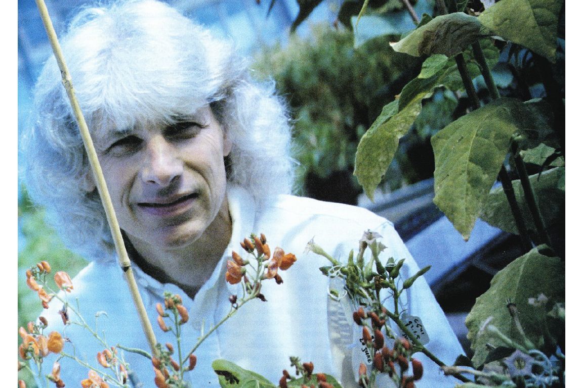 Goldberg’s Variations | UCLA