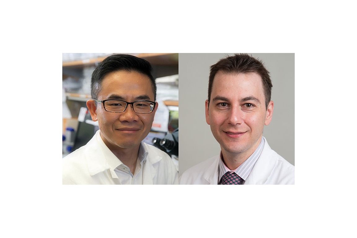 Researchers receive $2.97 million grant for testing early detection of ...