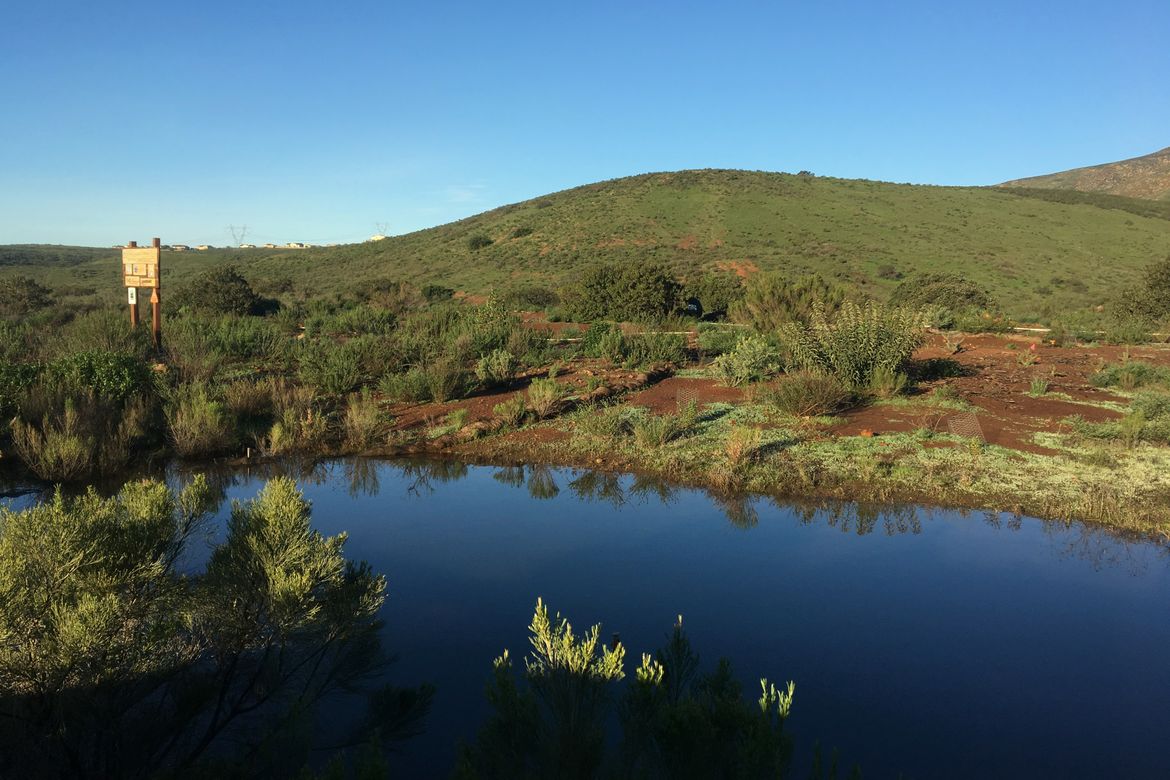 Photo | Vernal pool | UCLA