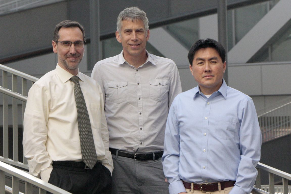 UCLA researchers’ efforts to combat melanoma gets $13M boost from NIH ...