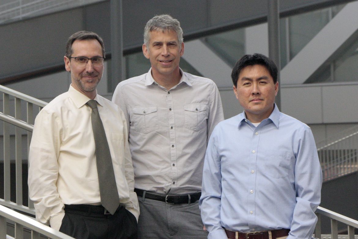 UCLA researchers’ efforts to combat melanoma gets $13M boost from NIH ...