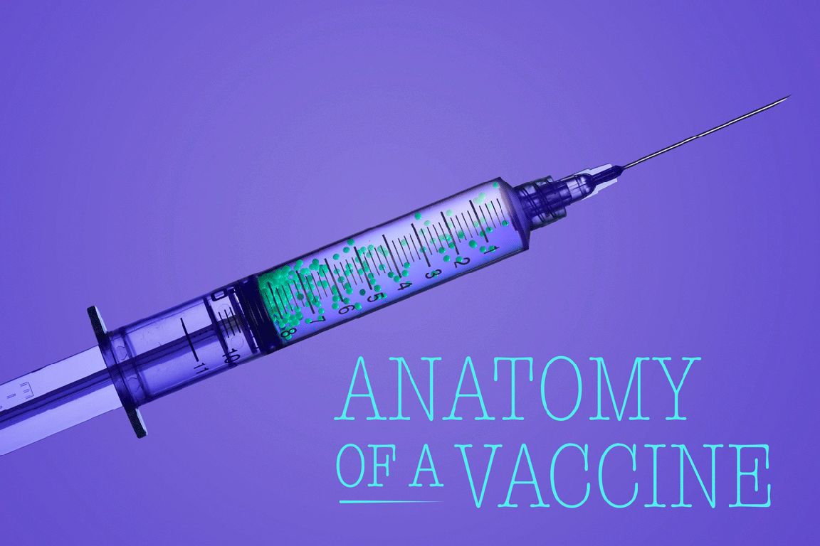 Anatomy of a Vaccine | UCLA