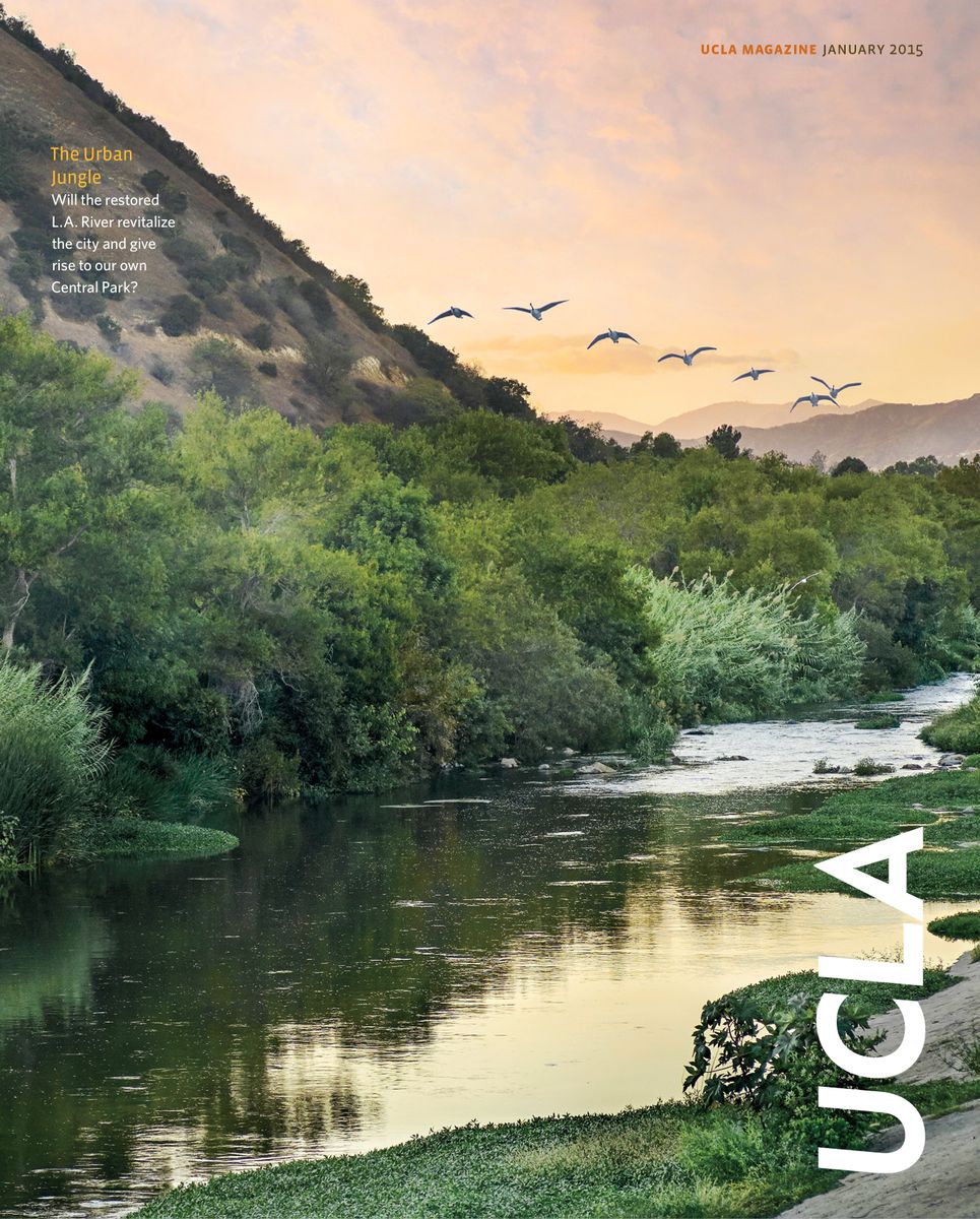 Paint the Town | UCLA