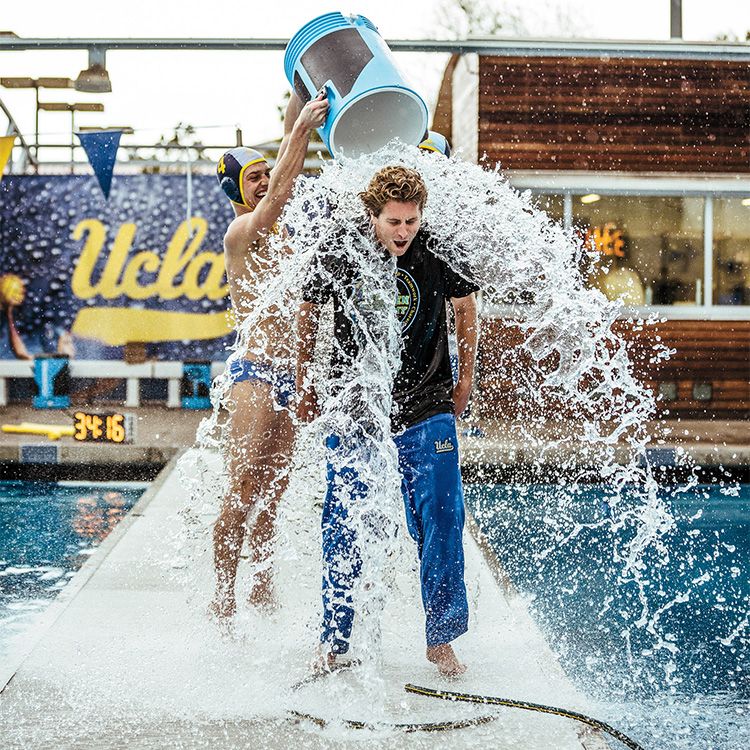 Nothing But Net | UCLA