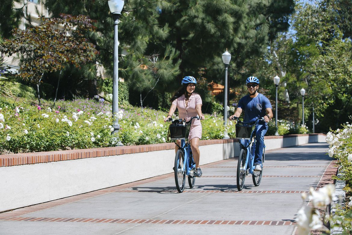 A New Way to “Re”cycle | UCLA