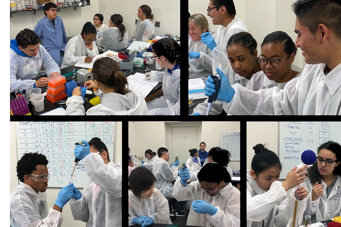 Dean Tracy Johnson seeks to diversify the pipeline of future scientists ...