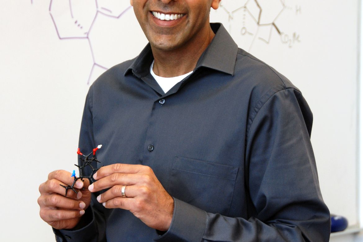 Photo | Neil Garg | UCLA