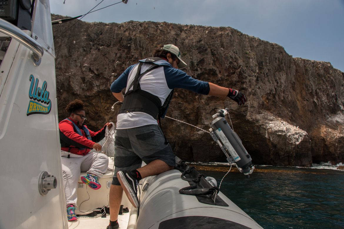 Genetic tool could improve monitoring of marine protected areas | UCLA