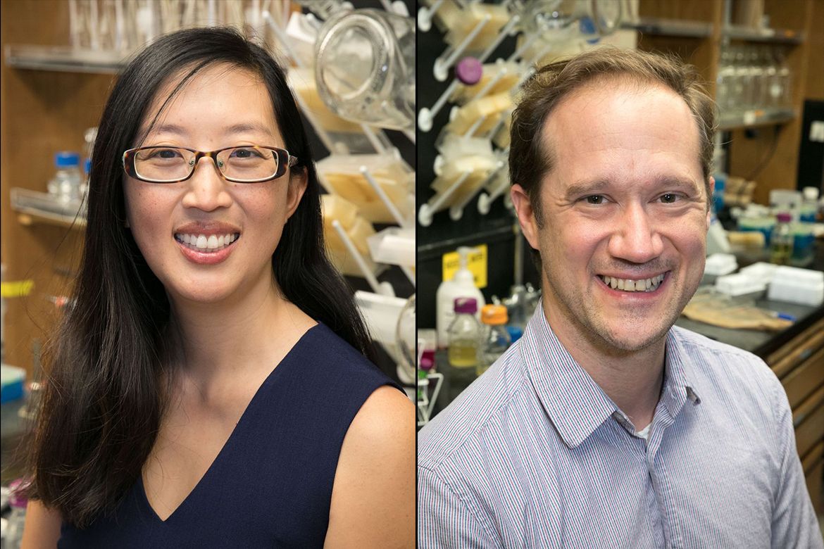 Pamela Yeh, Van Savage contribute to book about lessons from the ...