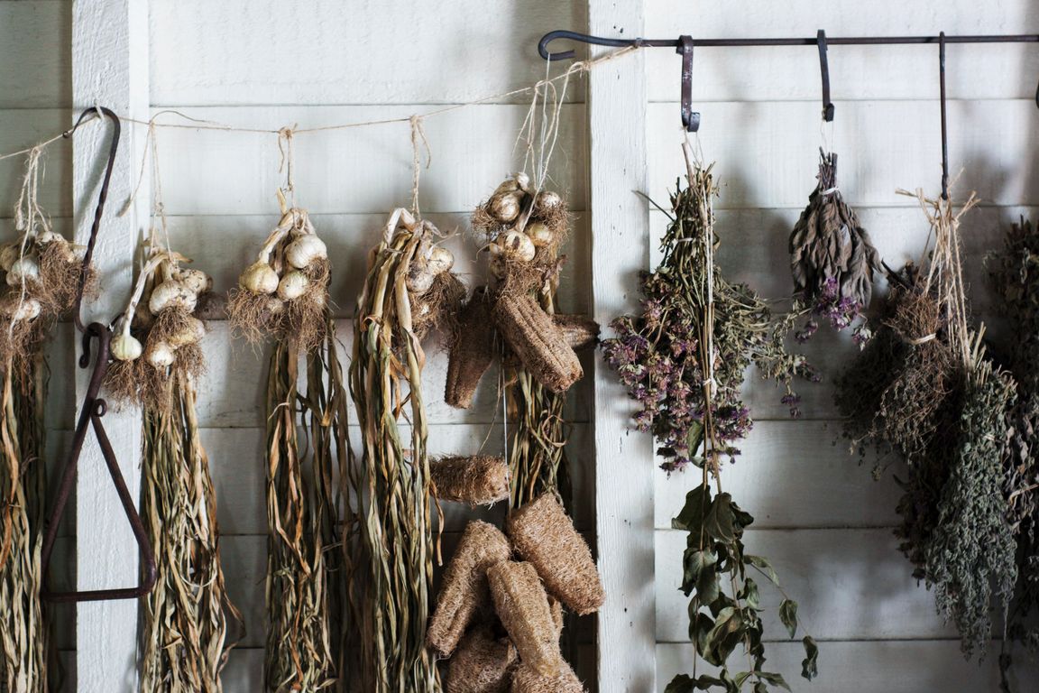 UCLA researchers digitize massive collection of folk medicine | UCLA