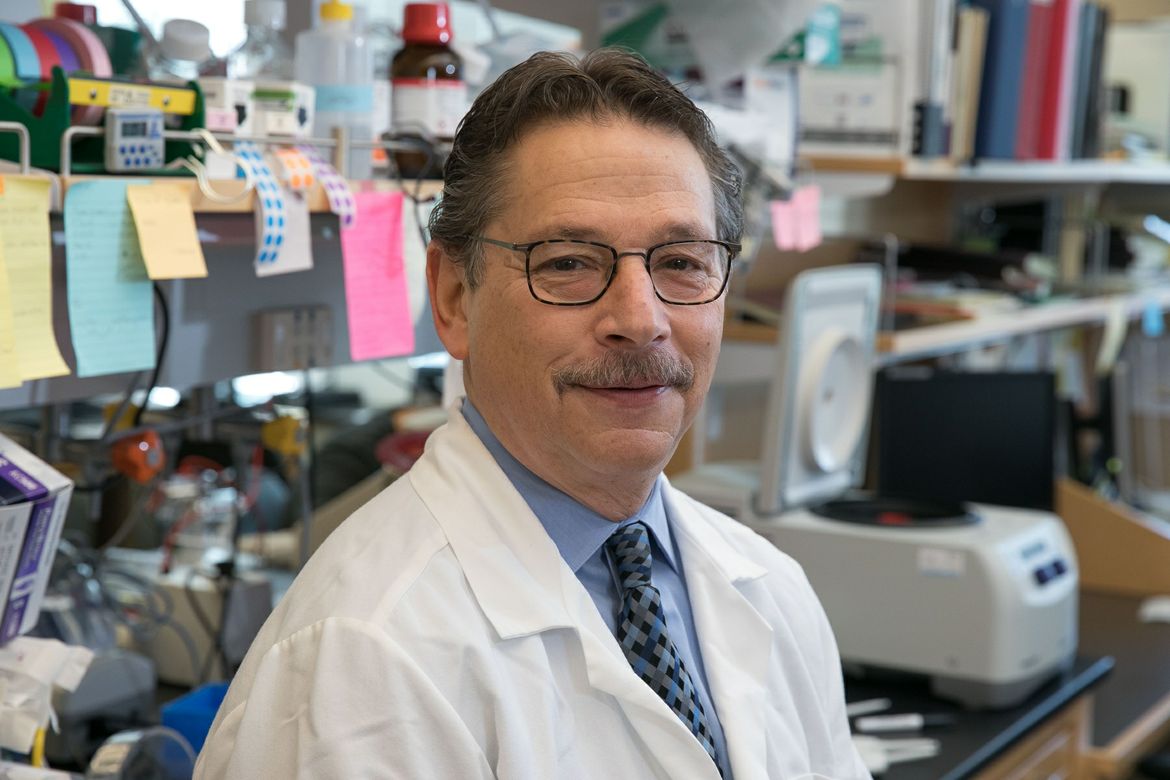 Dr. Donald Kohn honored with career achievement award | UCLA