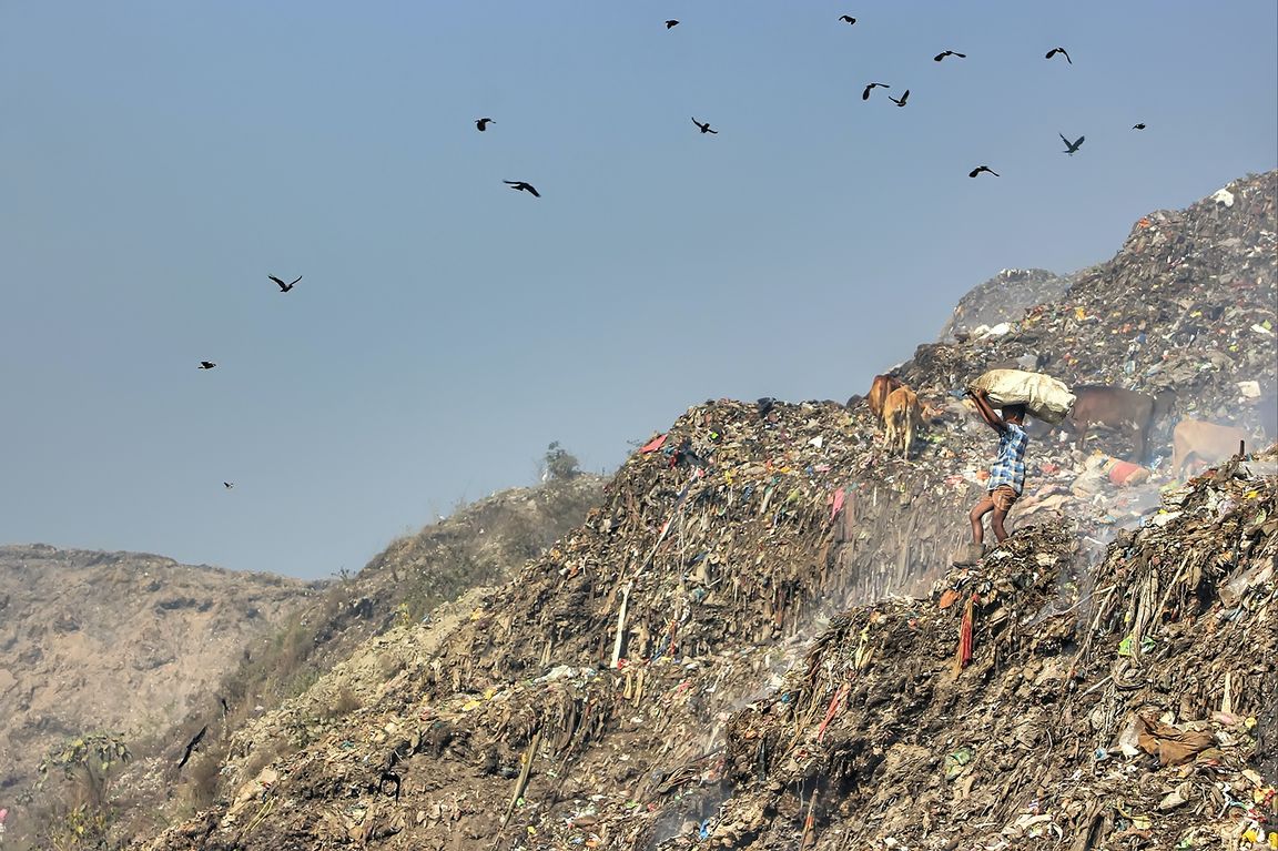 Ecocide gets a new definition, and UCLA scholars played a key role | UCLA