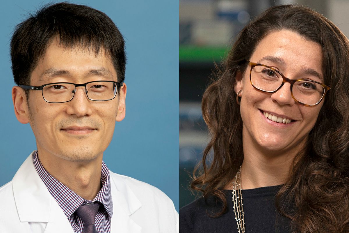 Daniel Shin's Instagram, Twitter & Facebook on IDCrawl