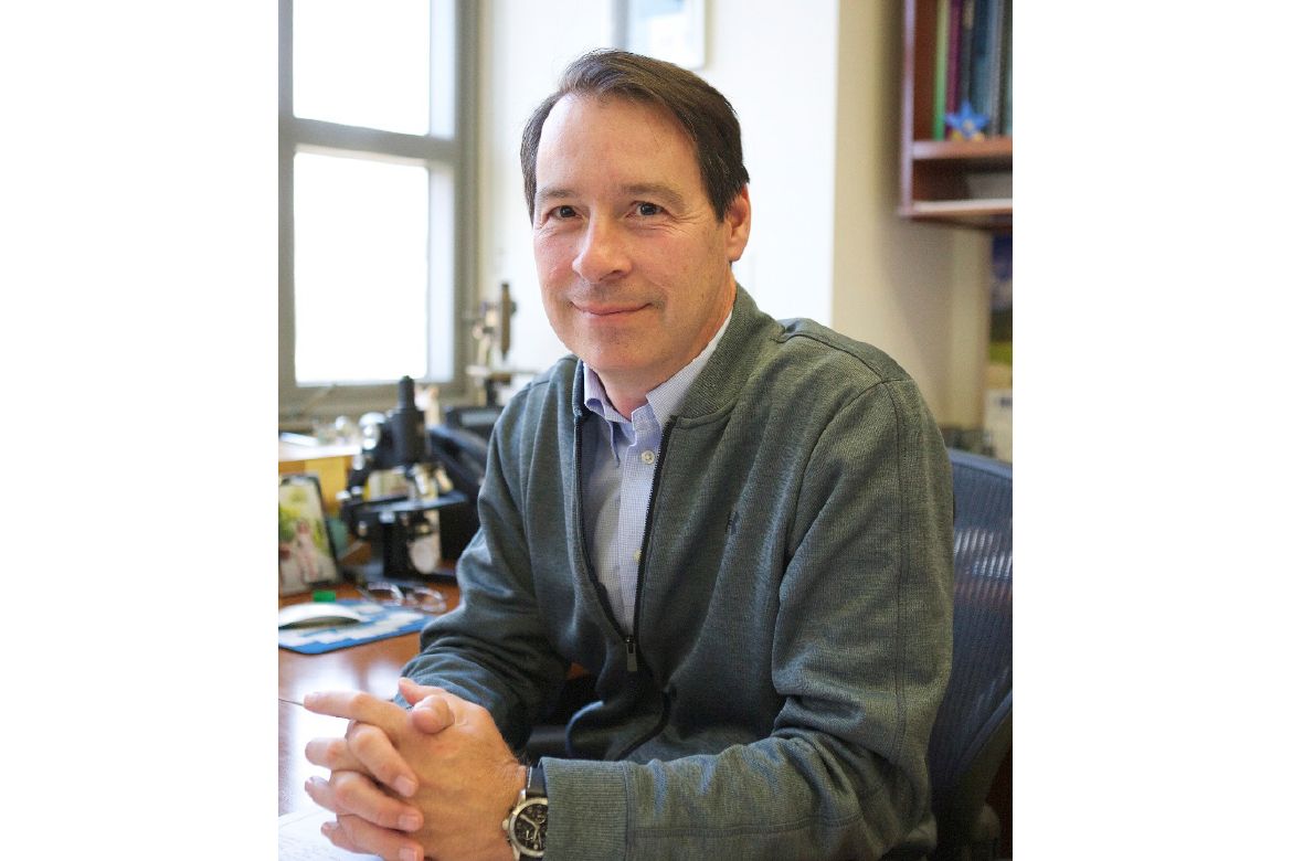 Photo | Peter Tontonoz UCLA Health | UCLA