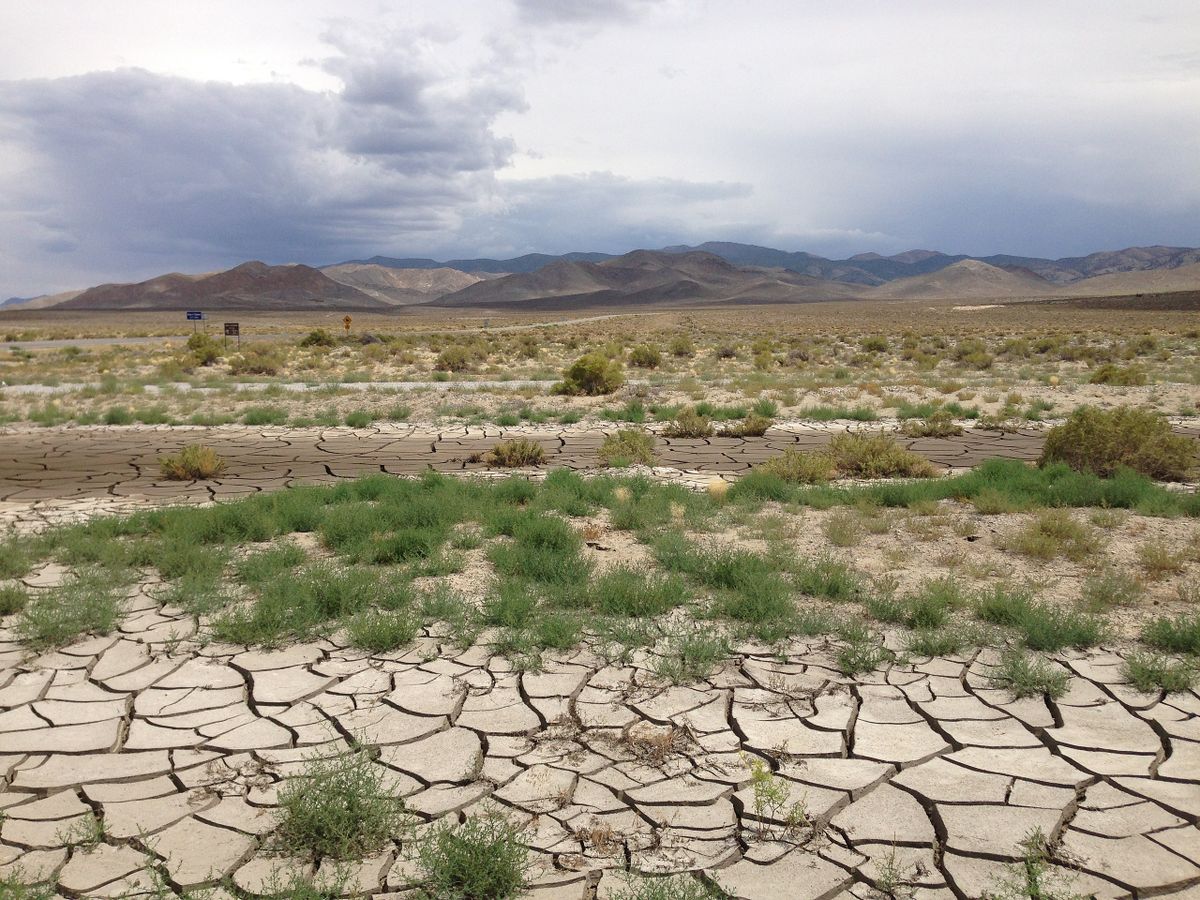 Photo | Parched land in Nevada | UCLA