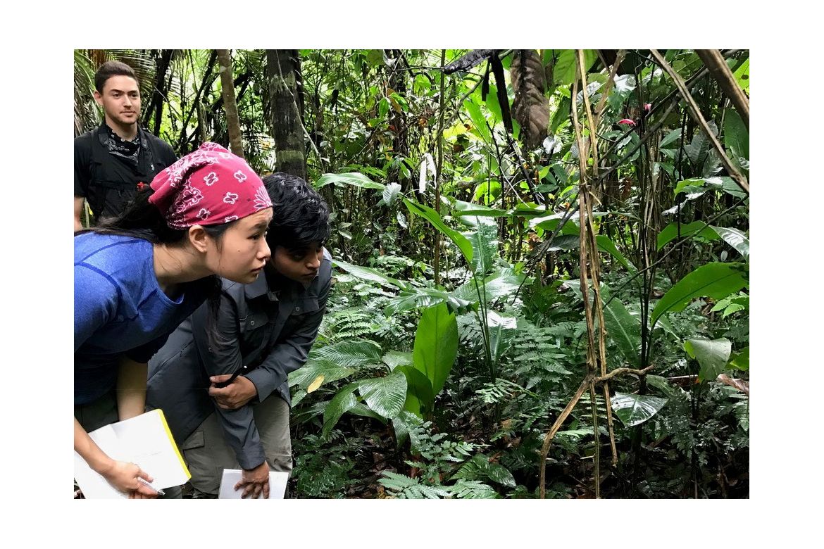 Photo | UCLA students observing spiders in the field | UCLA