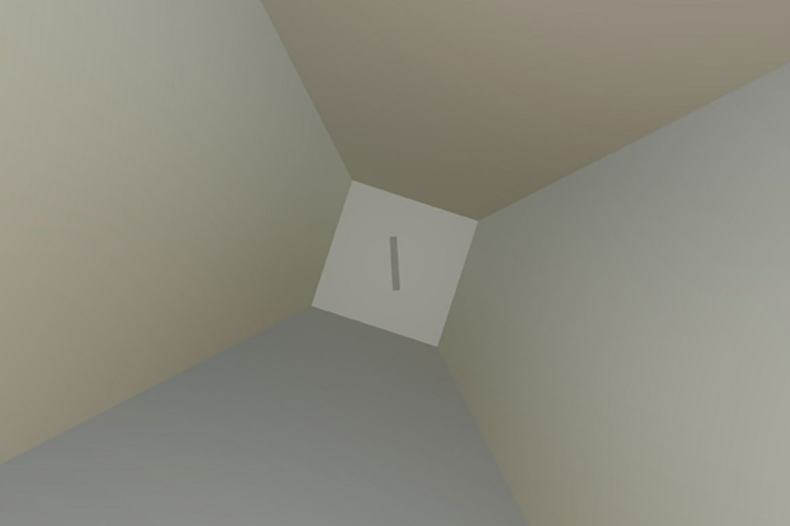 Some claim culture affects our basic visual perception. A UCLA study ...