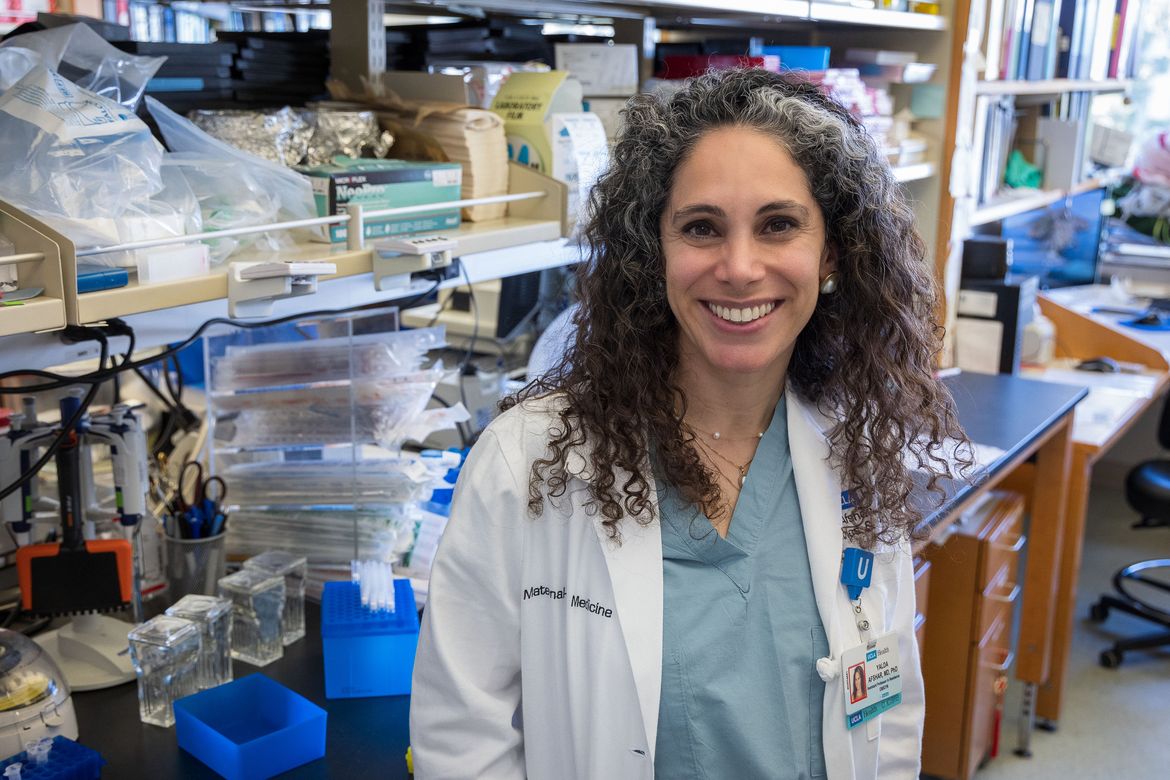 How Dr. Yalda Afshar became a trusted COVID spokesperson | UCLA