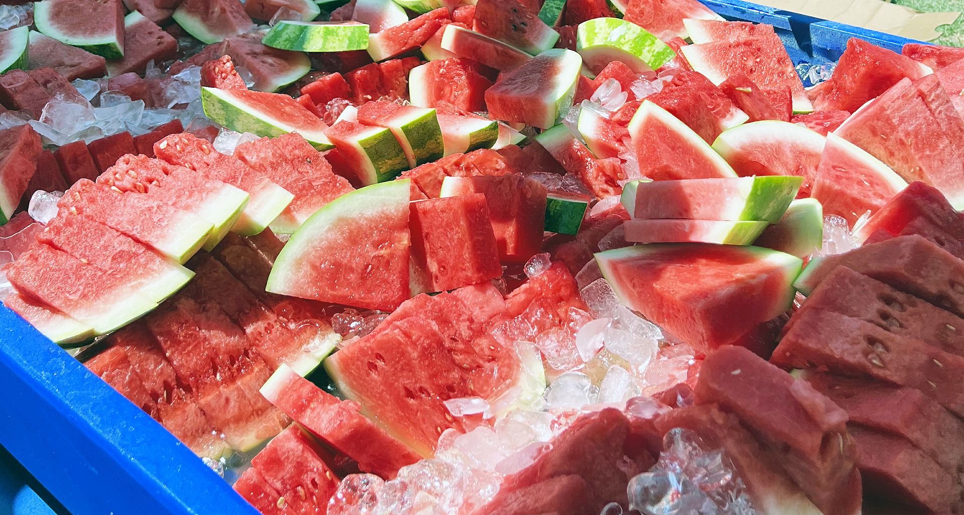 Good vibes on campus as the annual All-Staff Picnic returns | UCLA