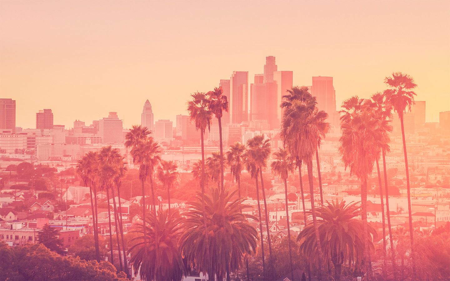 Photo | Los Angeles skyline in pink | UCLA