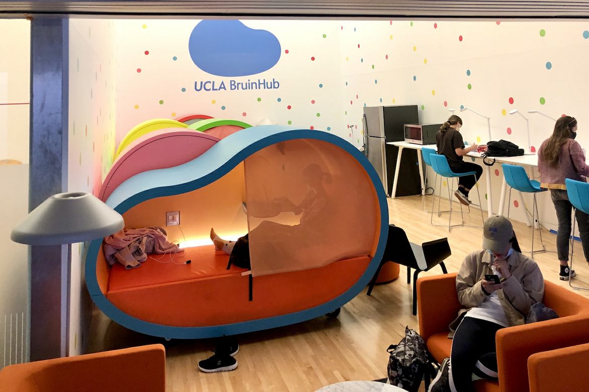 Photo | EOY Gifts-BruinHub | UCLA