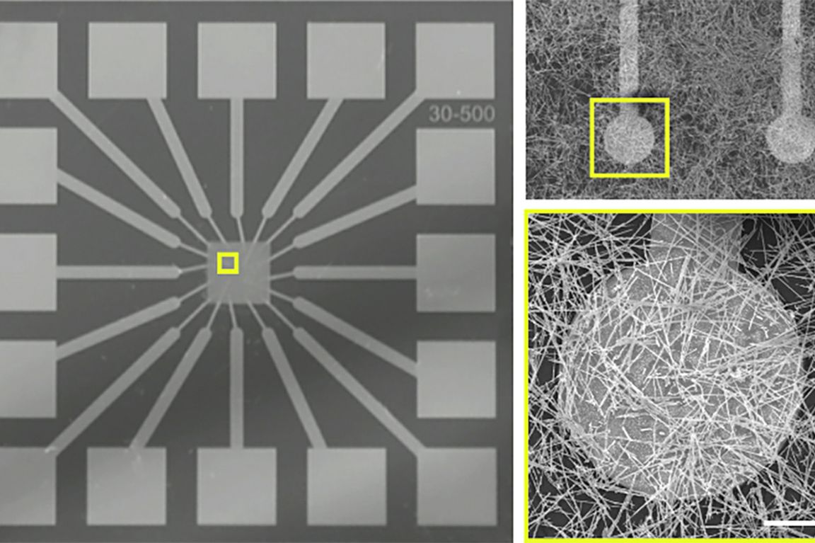 Experimental brain-like computing system more accurate with custom ...
