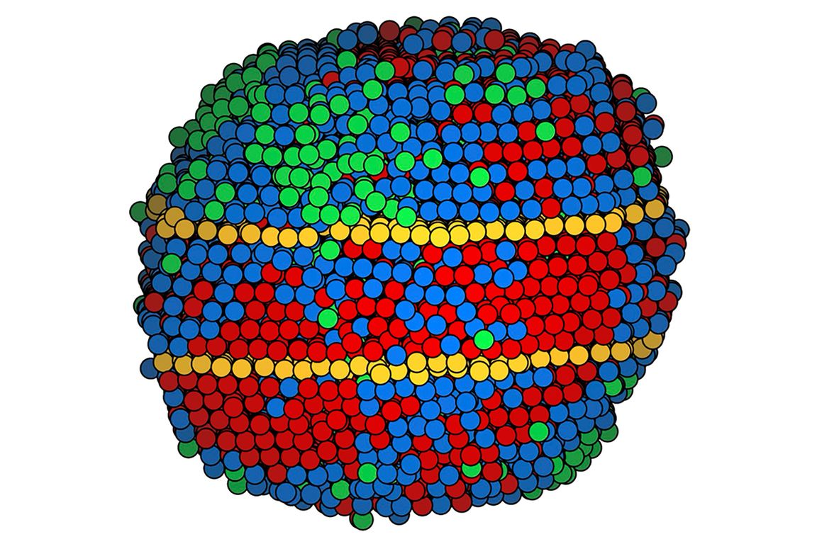 3D atomic details of next-generation alloys revealed for first time | UCLA
