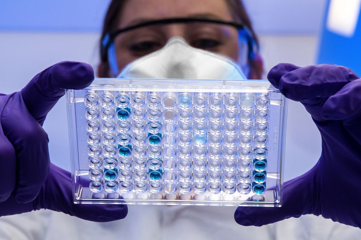 Photo | Person with purple gloves holding up lab sample tray | UCLA