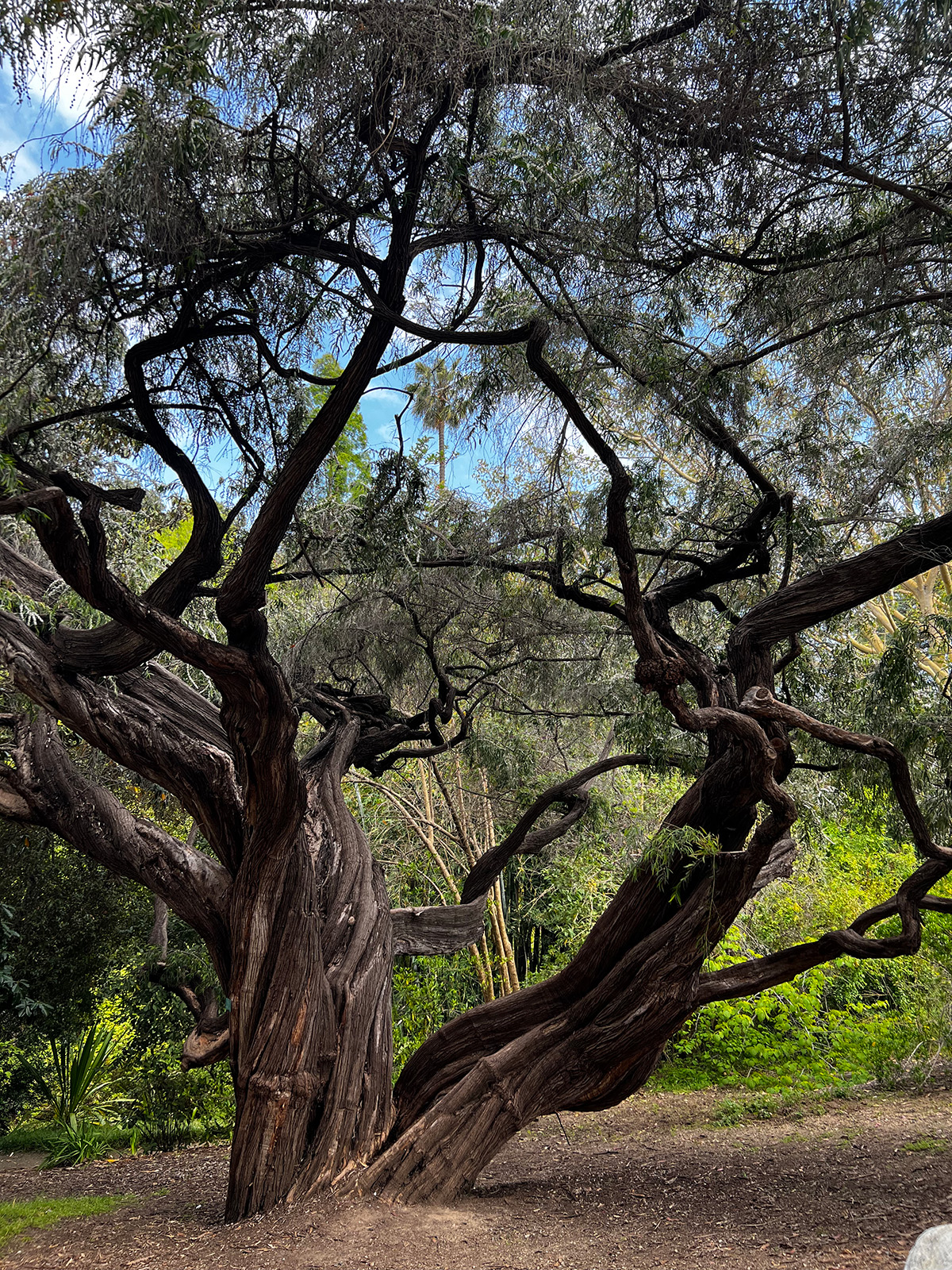 A Moment in the Life of UCLA | UCLA