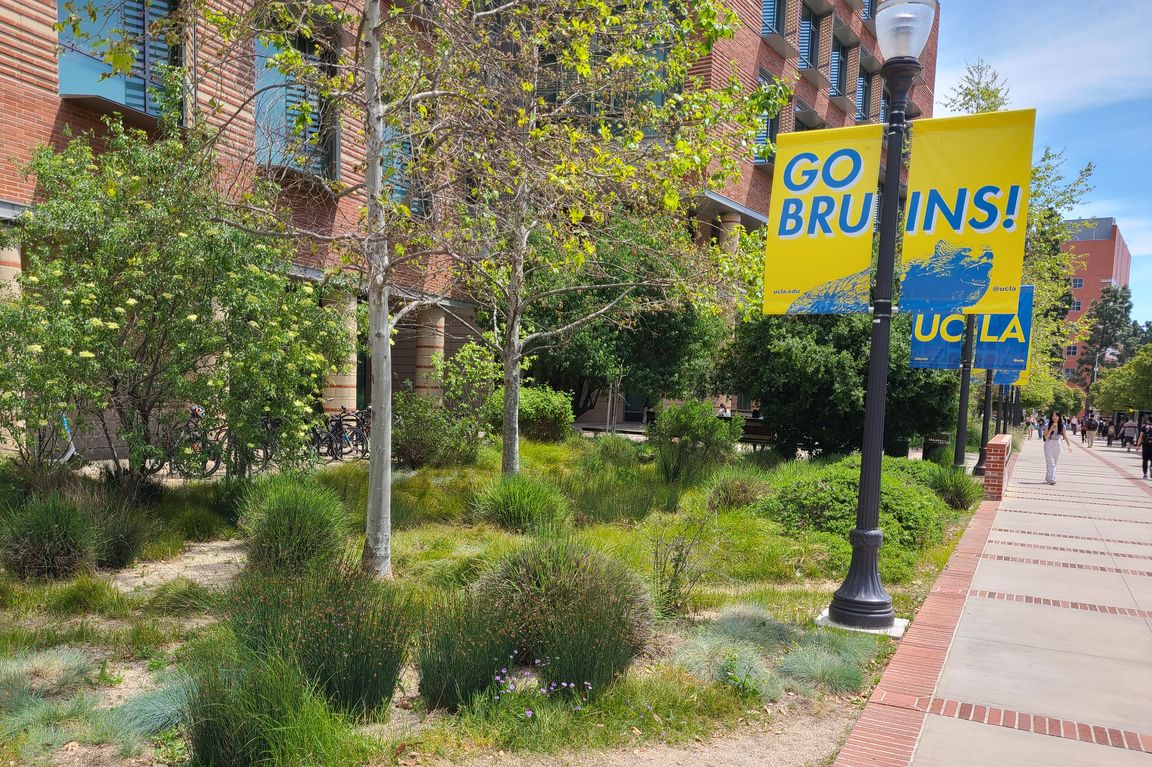 Growing impact: UCLA reports gains 1 year into comprehensive ...