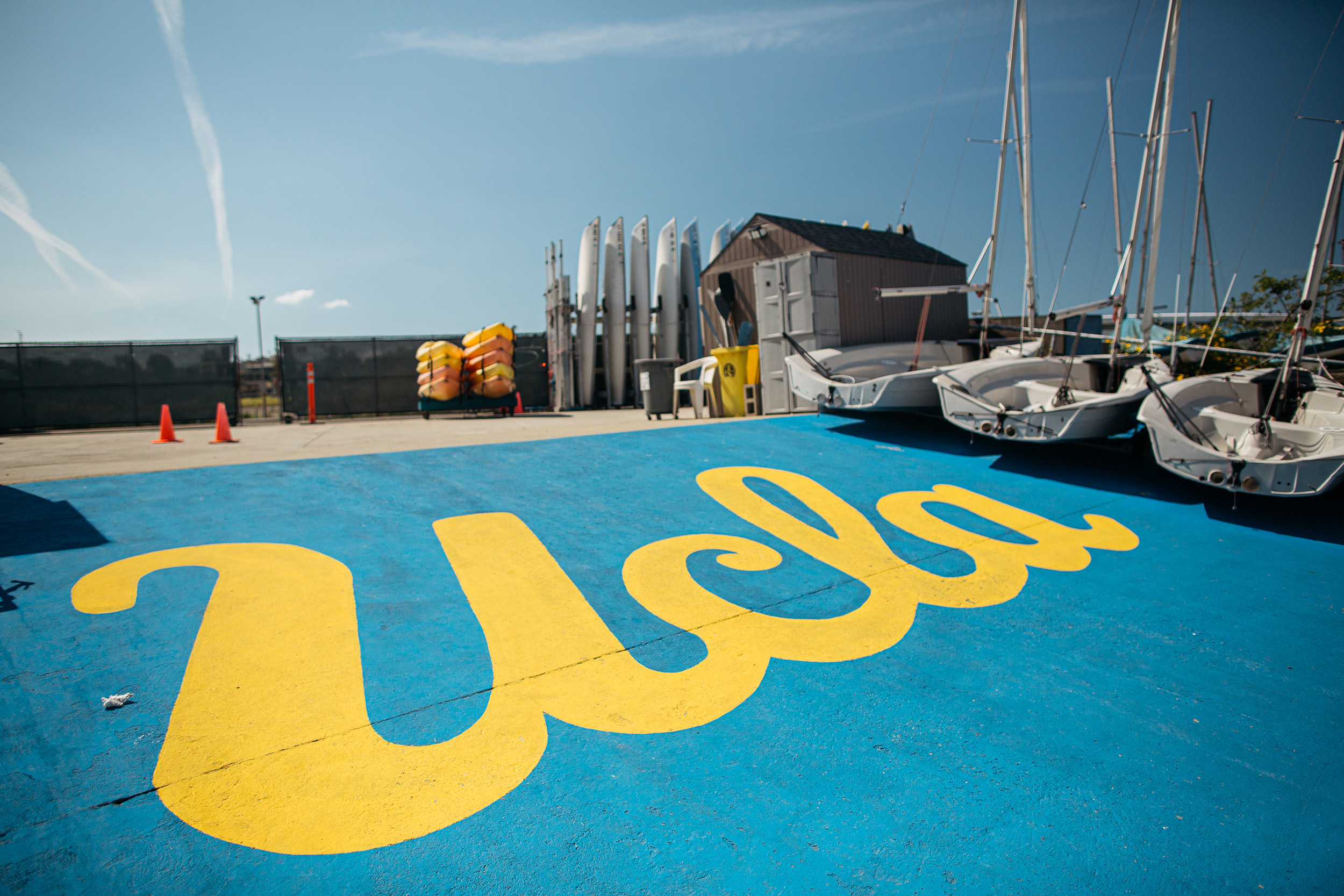 Dive Into Summer (Perhaps Literally) | UCLA