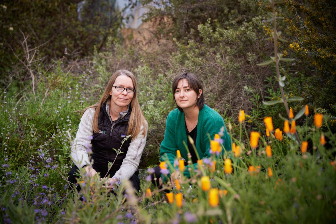 Photo | Sophie Parker and Jessie George | UCLA