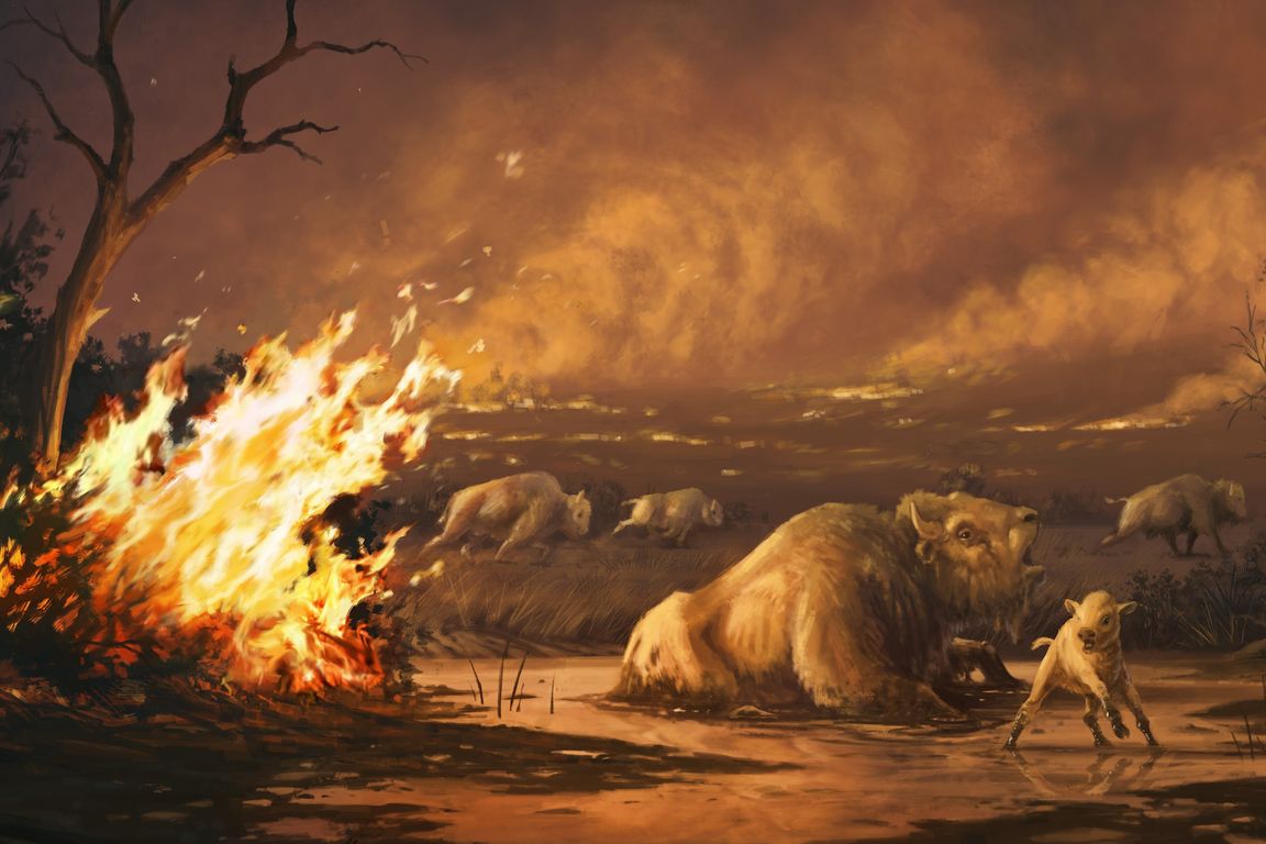 Human-set fires 13,000 years ago led to extinction of megafauna in ...