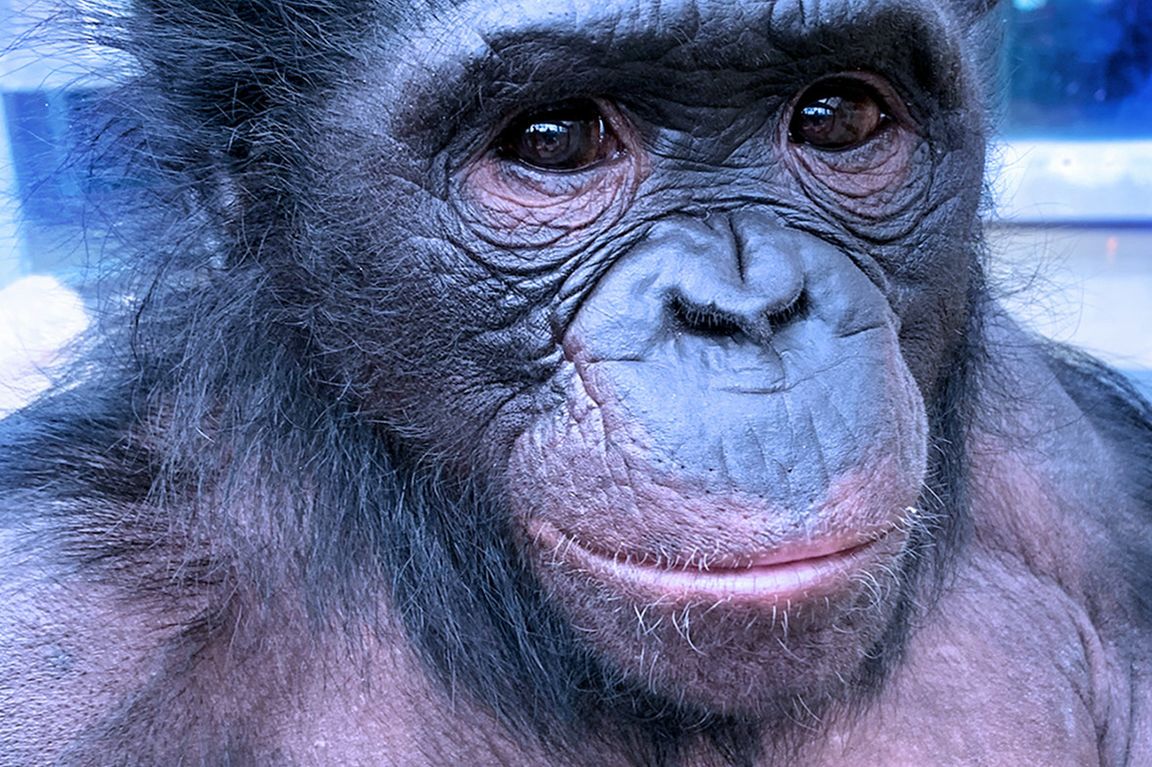 Enough To Make You Laugh | UCLA