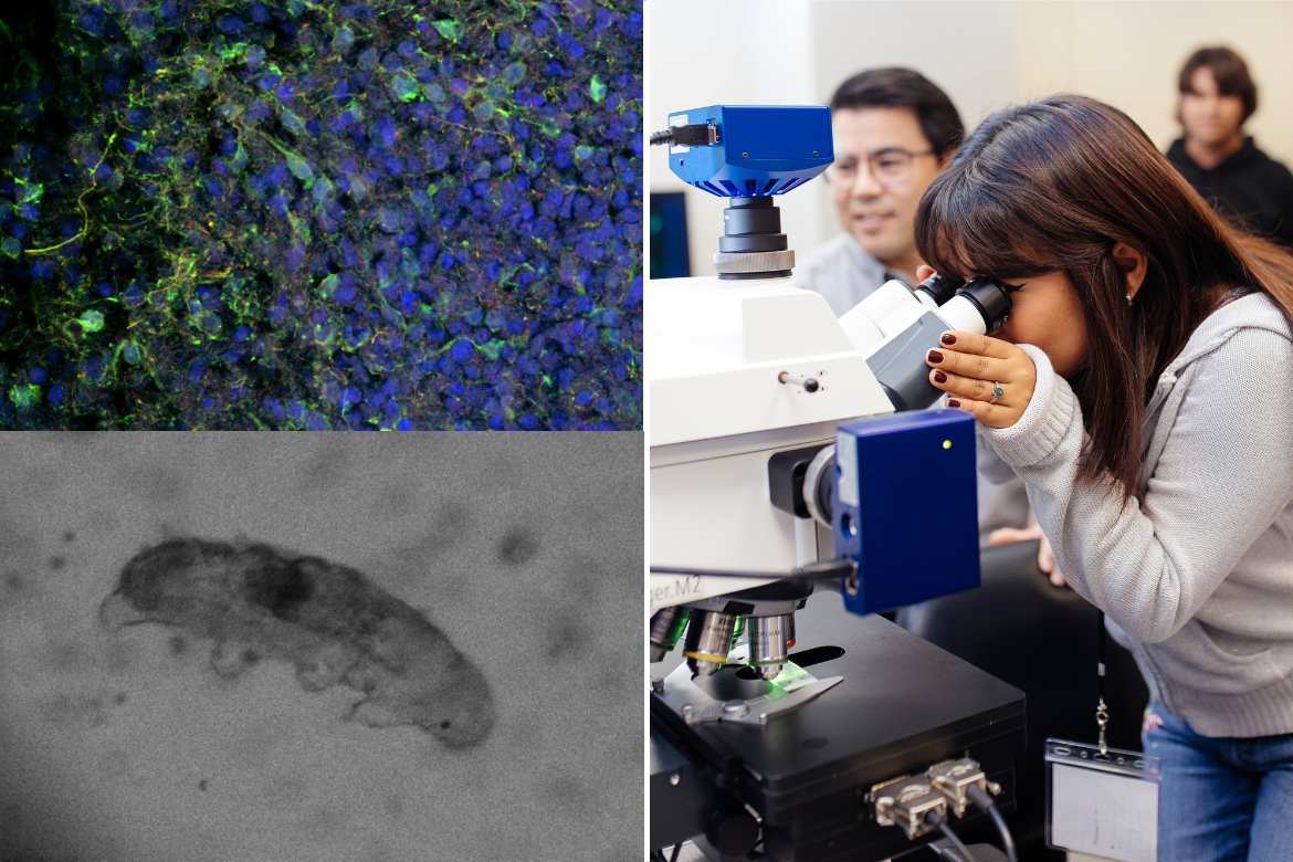 UCLA stem cell lab tour lights STEM path for high schoolers | UCLA