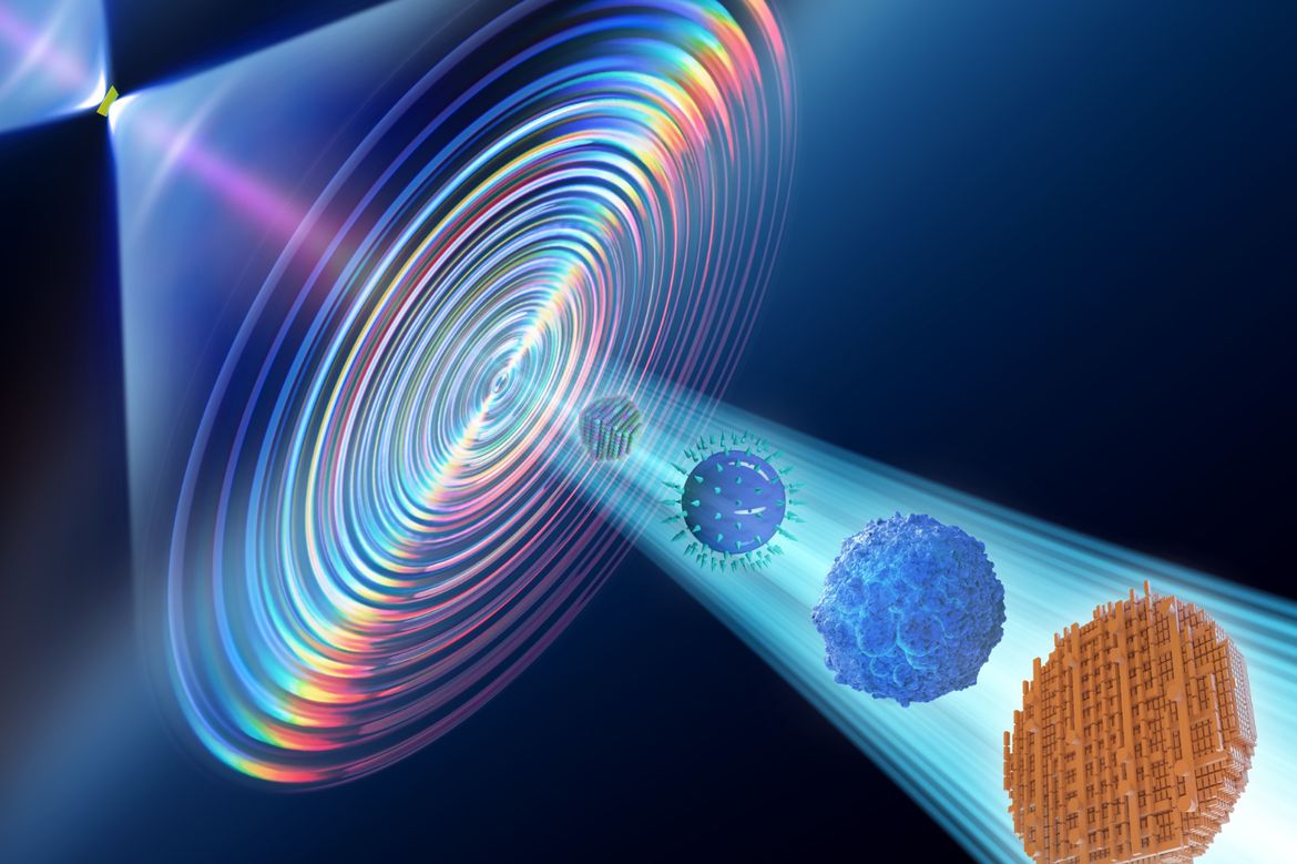 Microscopy revolution: 25 years of computational imaging | UCLA