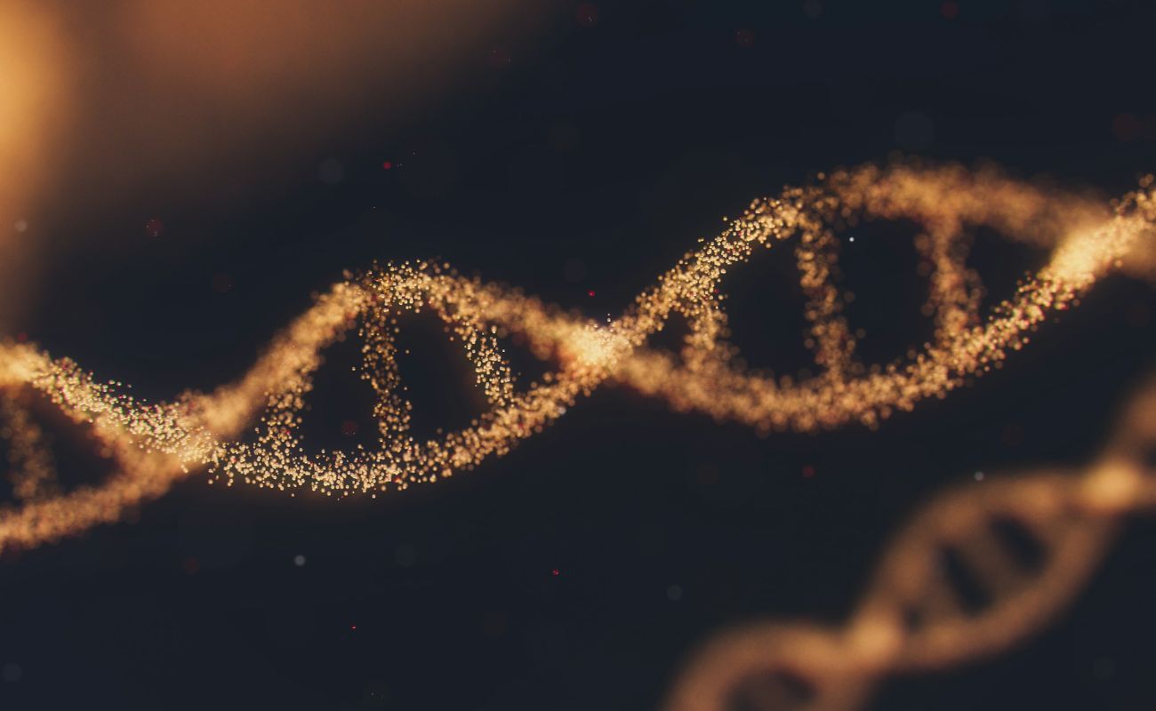 Photo | DNA rendering | UCLA