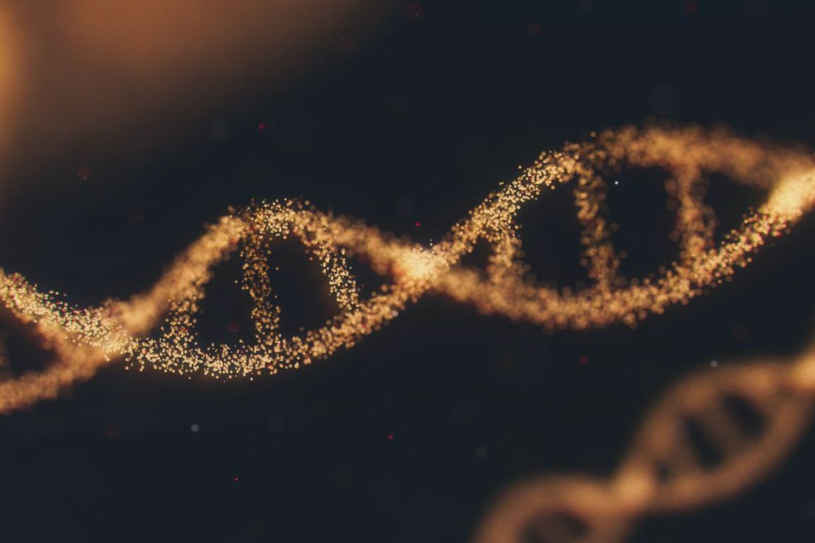 Mutations in noncoding DNA become functional in some cancer-driving genes | UCLA