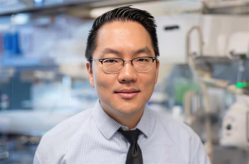 Dr. John Lee receives grant from CureSearch for Children’s Cancer | UCLA