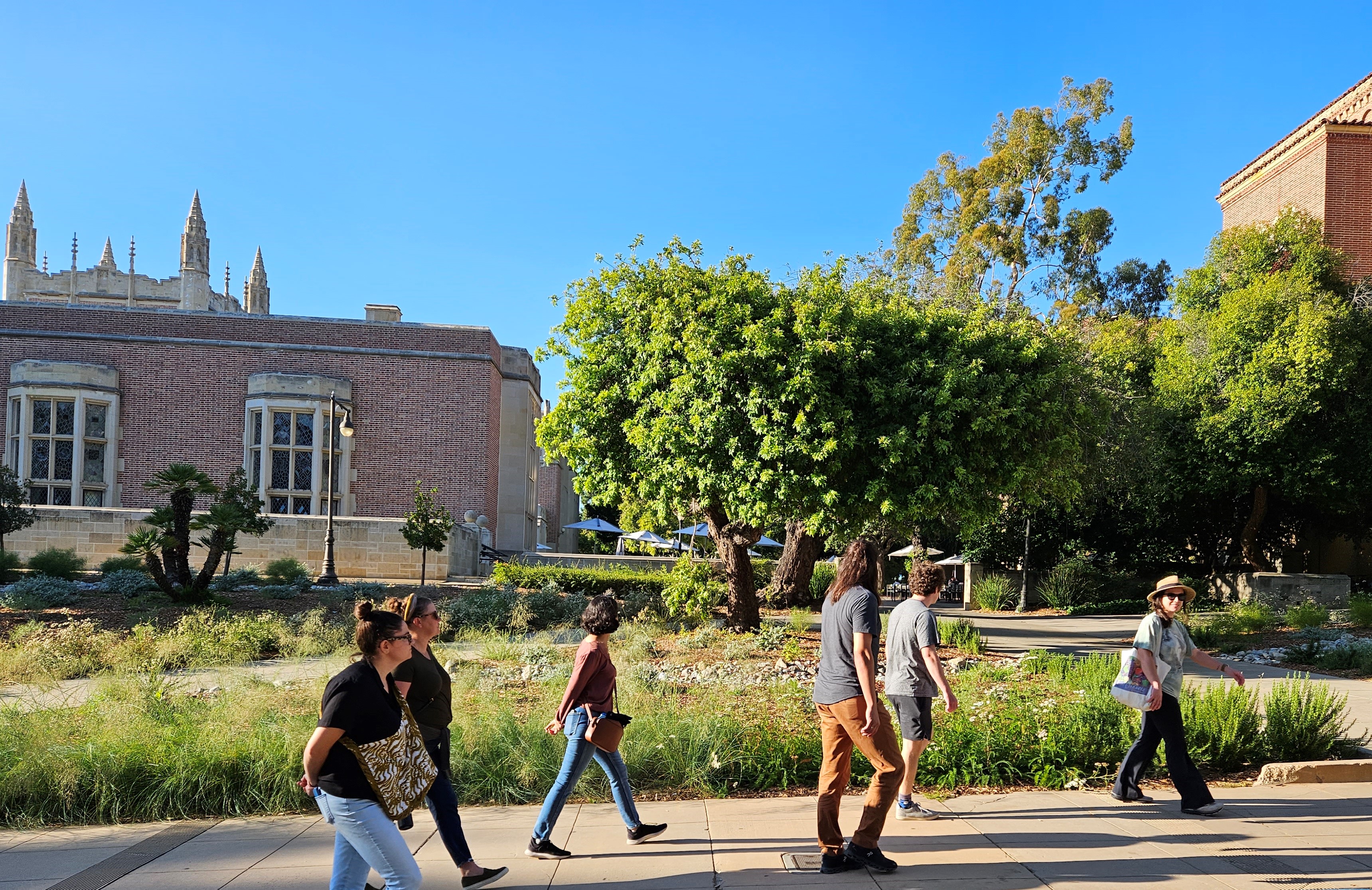 UCLA Sustainability Plan shows green forward progress by the campus | UCLA