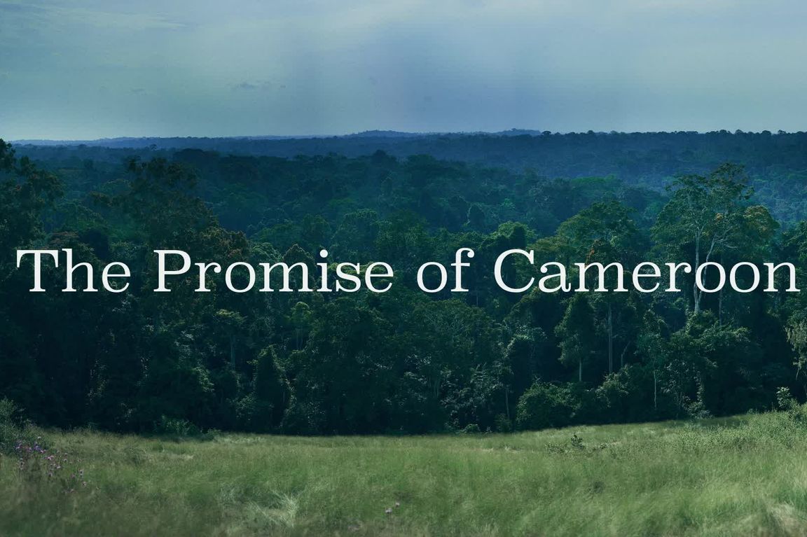 The Promise of Cameroon | UCLA