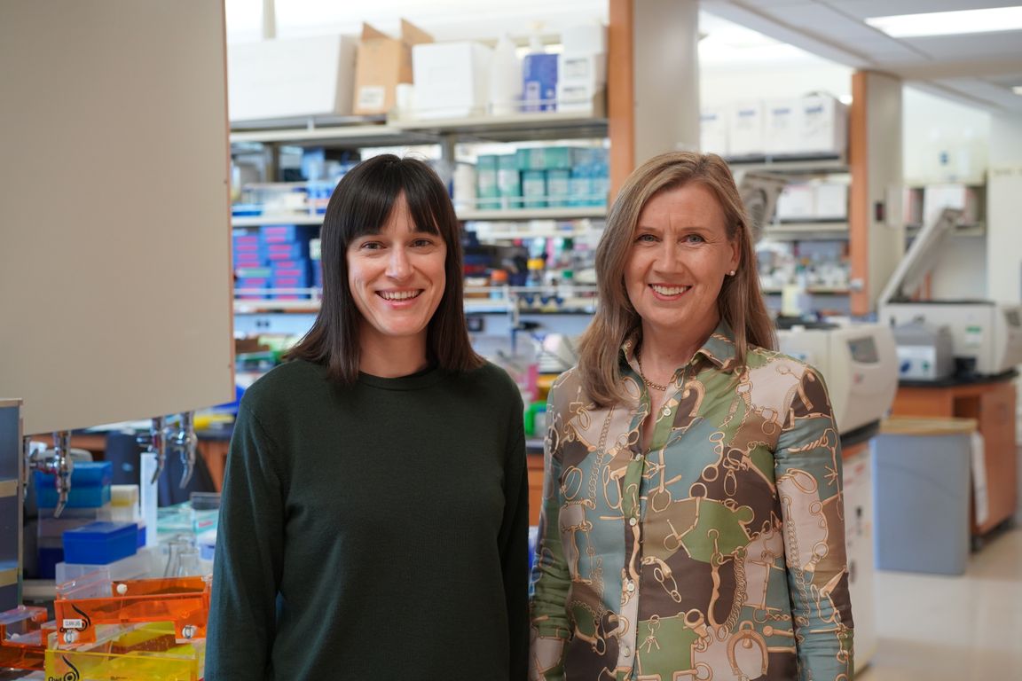Scientists identify ‘missing piece’ required for blood stem cell self ...