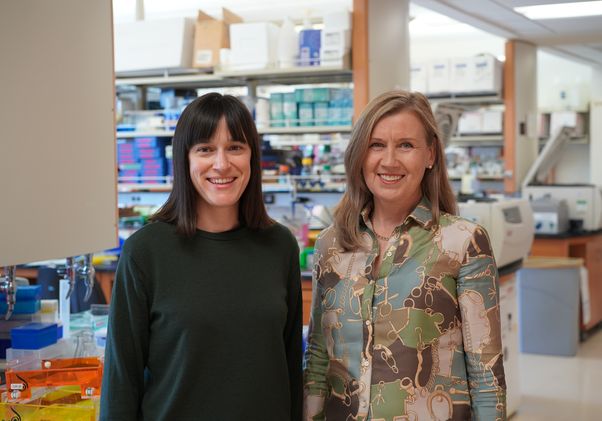 Science + Technology | UCLA