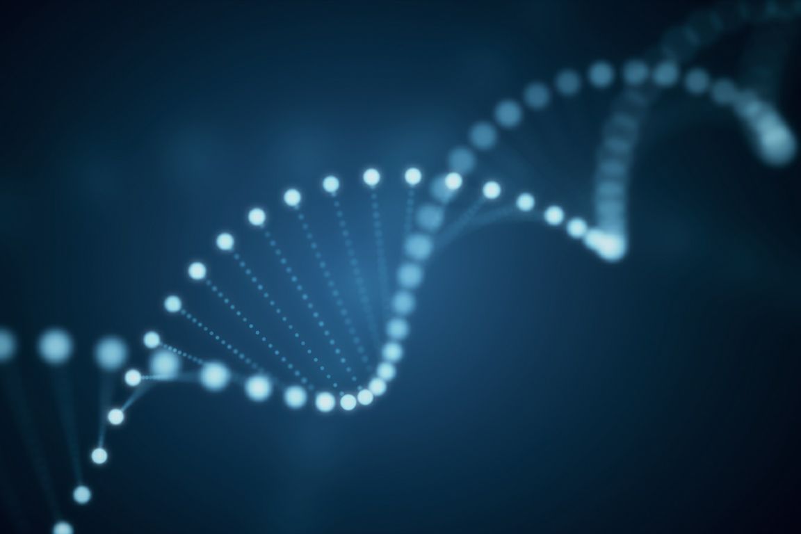 Study connects genetic risk for autism to changes observed in the brain ...