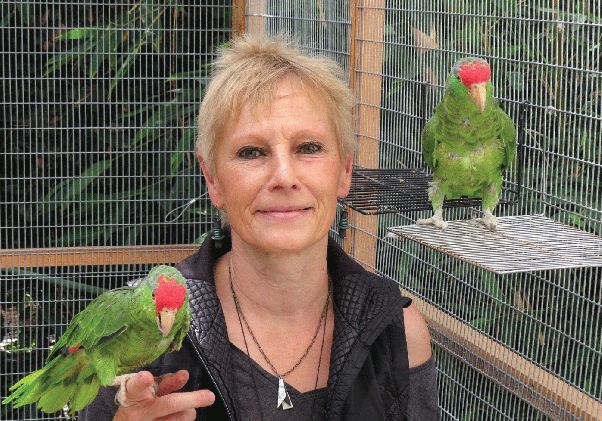 Arts + Culture | UCLA