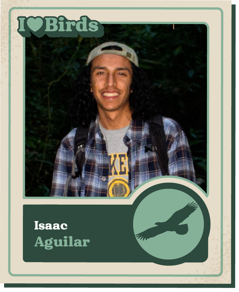 People with bird names | UCLA